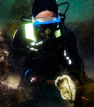 Interlocking networks between Cape crime families may be enabling ...