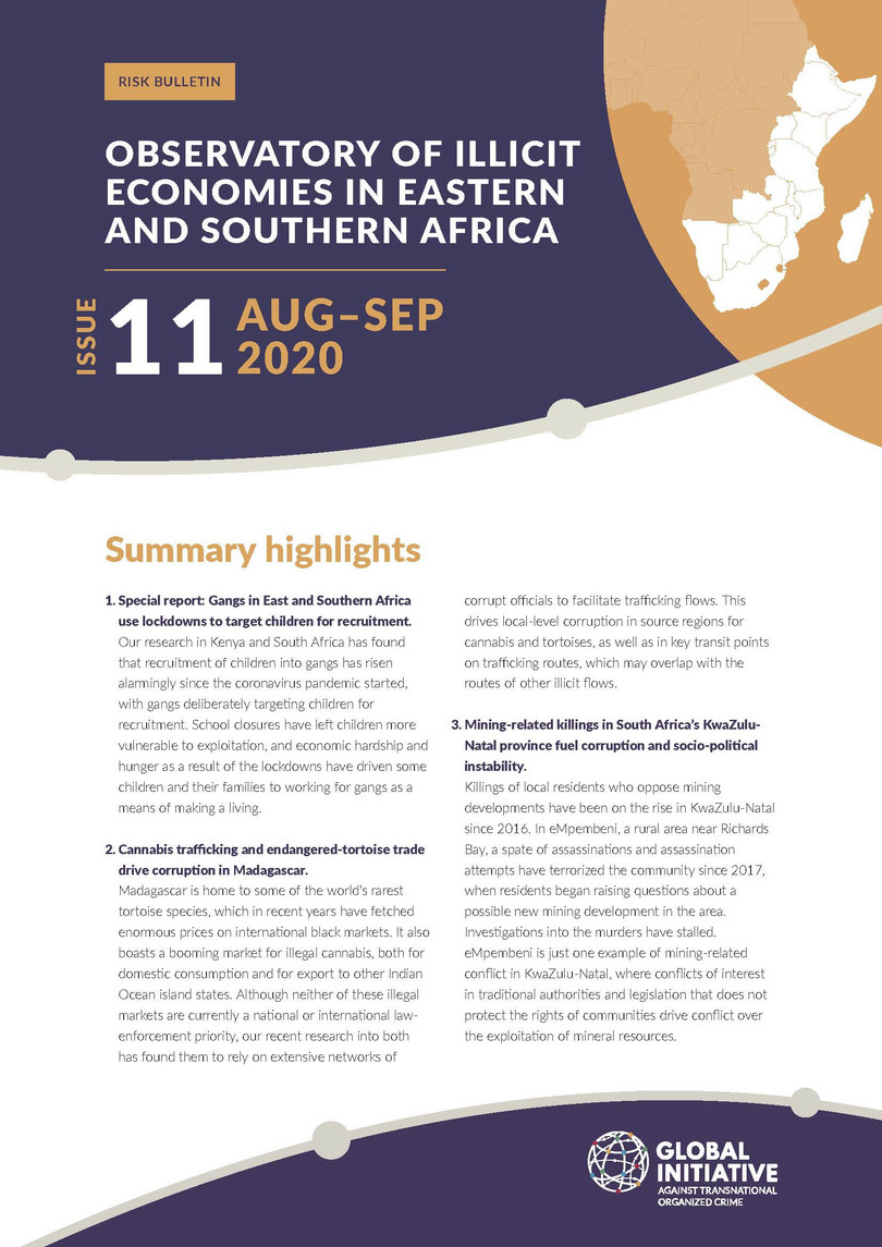 Summary | Risk Bulletin #11 – August–September 2020