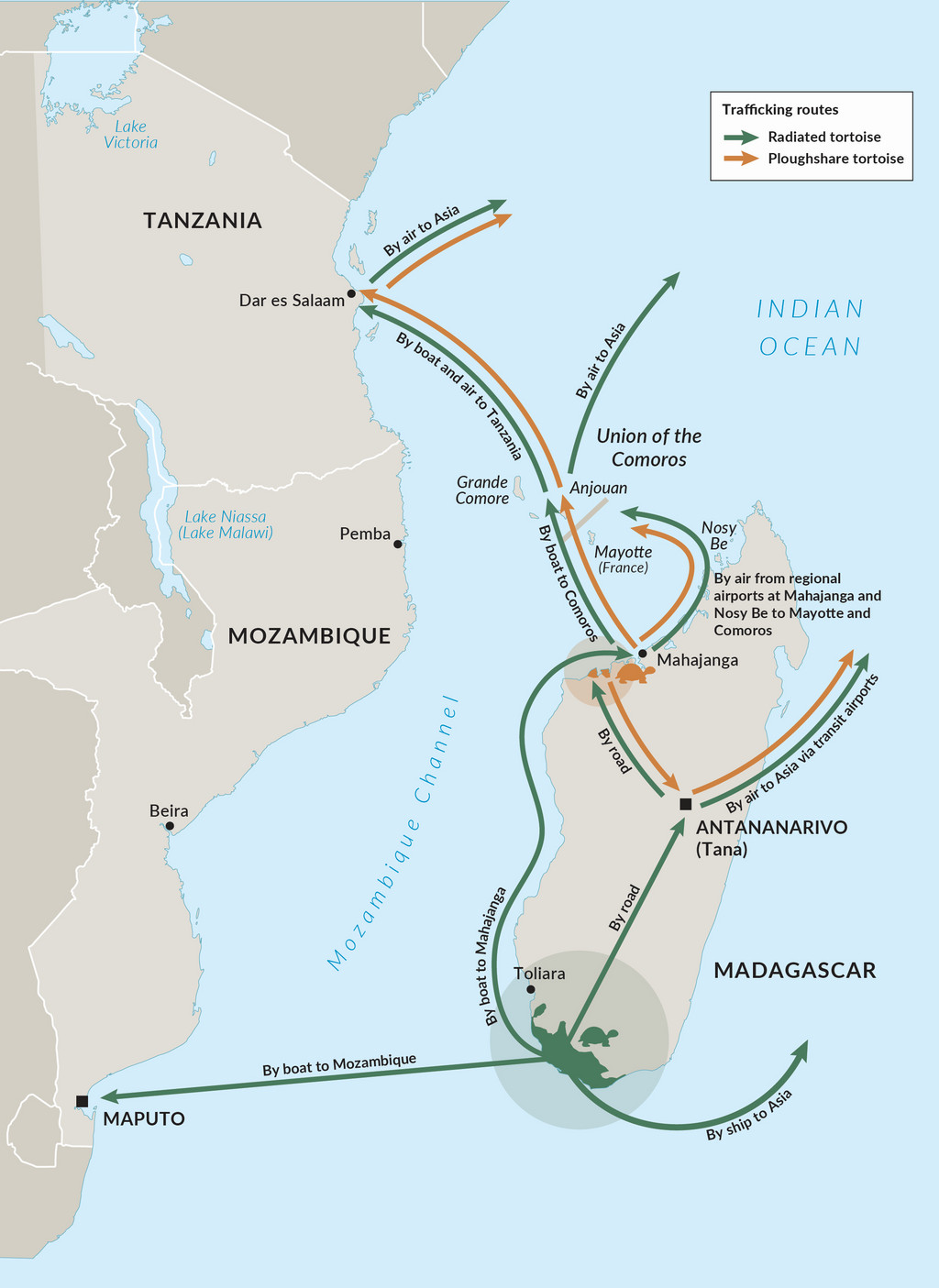 Corruption, crime networks and social media: the international illicit ...