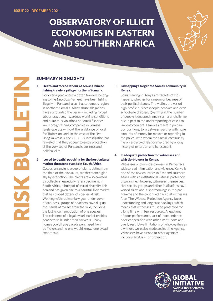 Summary | Risk Bulletin #22 – December 2021